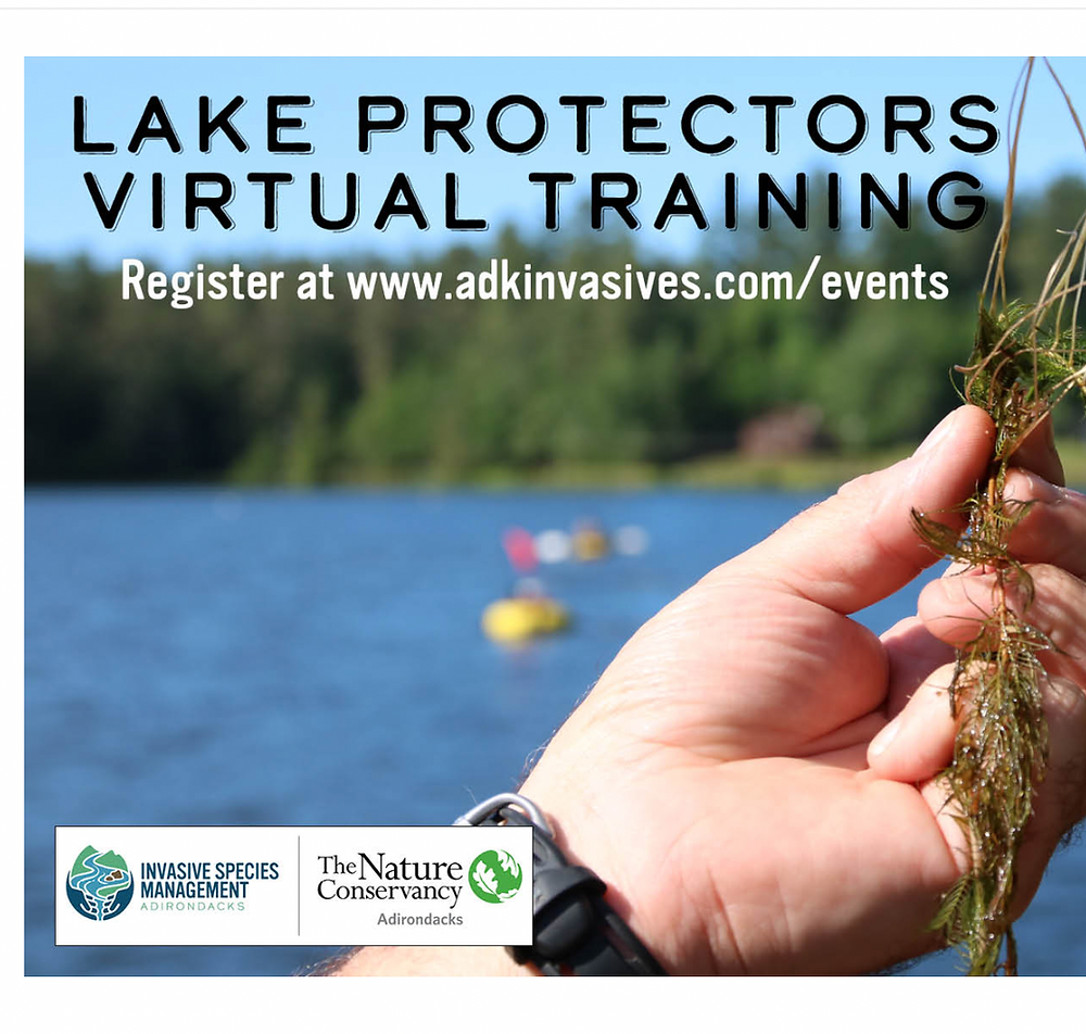 Learn to Protect the Lake You Love June 21st from 9a to 11:30a