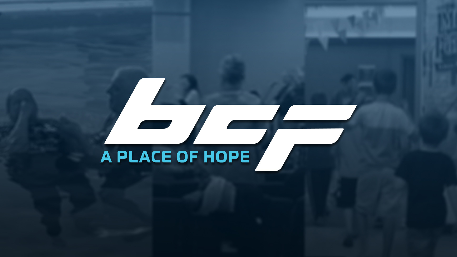 About Us | BCF
