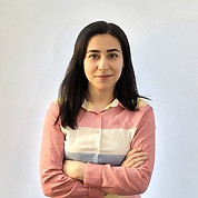 Higgins Lab Research | Team | McMaster University, Hamilton