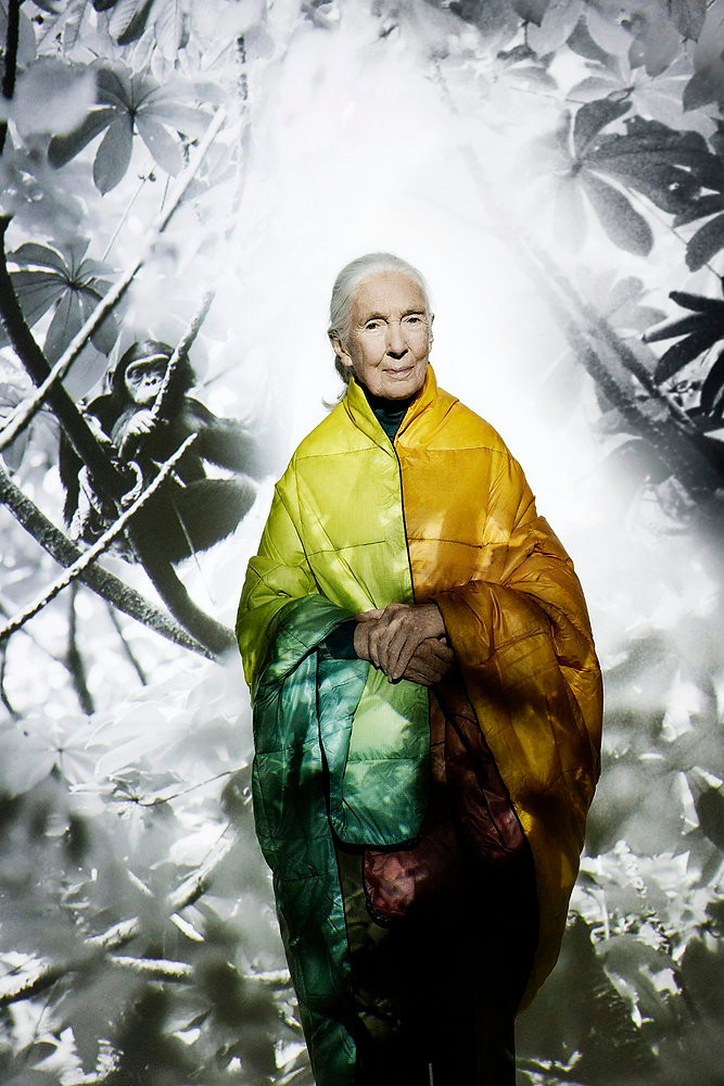 Zoe McConnell shoots Jane Goodall portraits