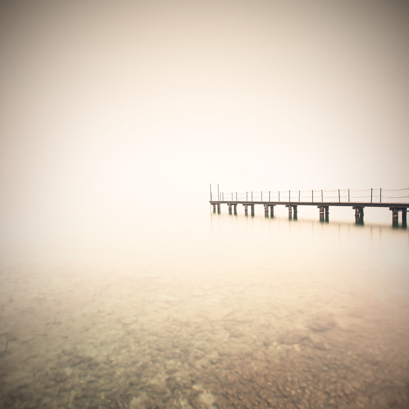 Lisa Jill Marcus - Licensed Clinical Social Worker