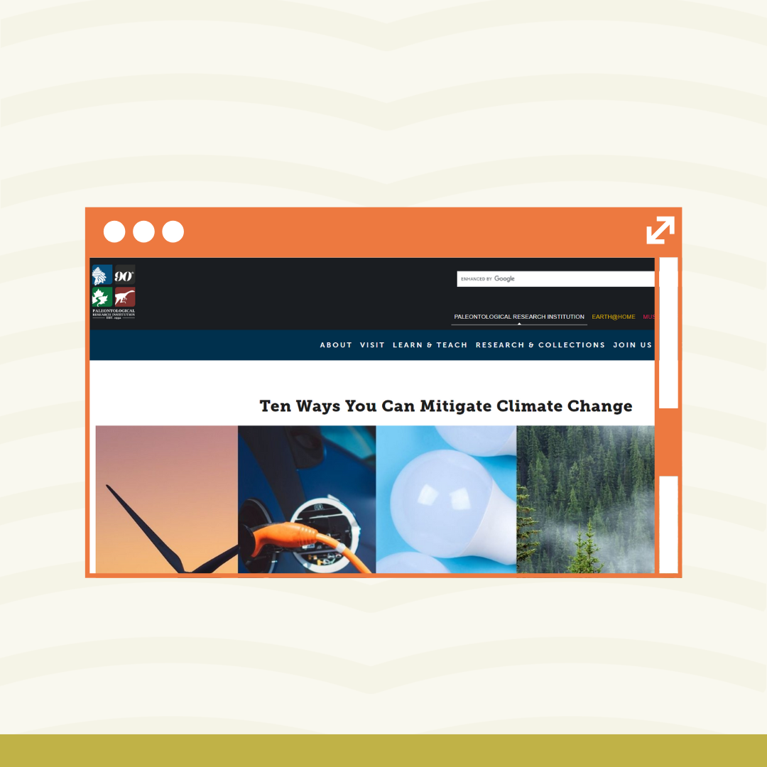 Ten Ways You Can Mitigate Climate Change