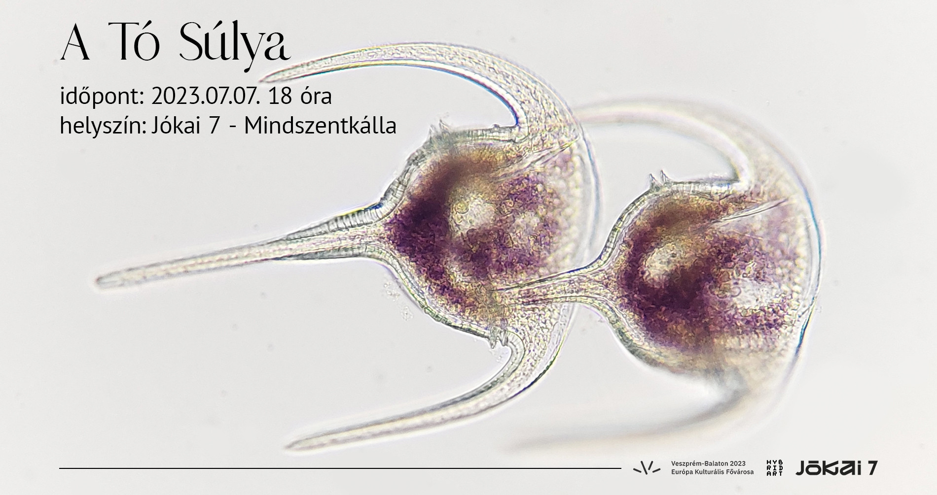 A Tó Súlya | Jókai 7.