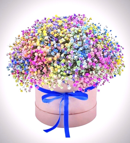 Baby Breath Box | Kristen Flower