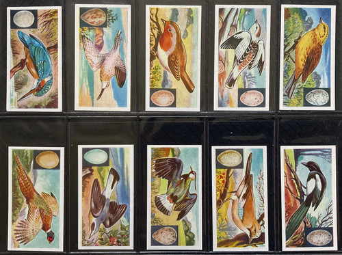 Barratt Birds Confectionary Cards | JSCards