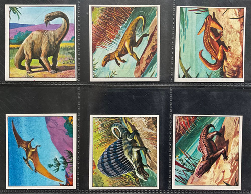Rowntrees Texan Prehistoric Animals Confectionary Cards | JSCards