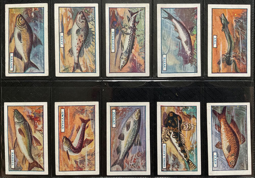 Phillips Fish Cigarette Cards | JSCards