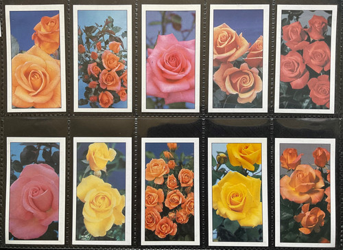 Fryer's Roses Trade Cards | JSCards