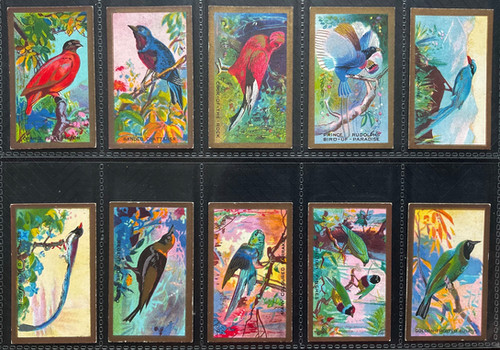 Cavender Foreign Birds Cigarette Cards | JSCards
