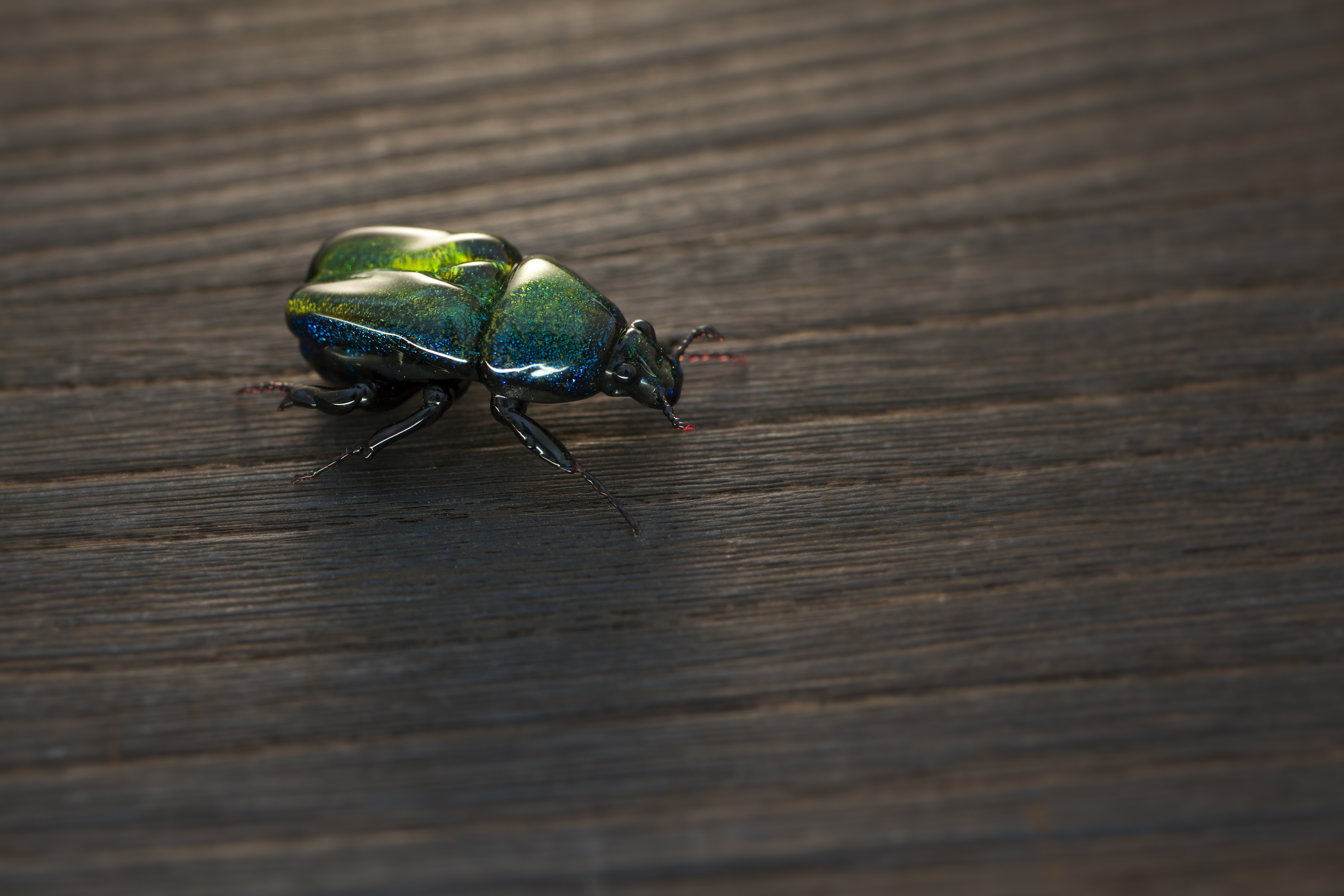 Insects Glass Sculpture by Yuki Tsunoda – Babylon Burning Media Center