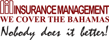 Summit Insurance Company Limited | Our Exclusive Agent's