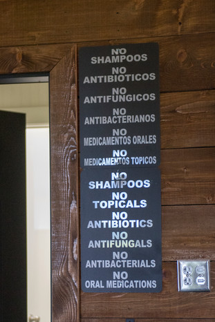 Quarantine | Spy Coast Farm