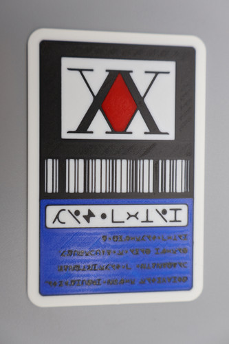 Hunter Hunter License | Lux Layers