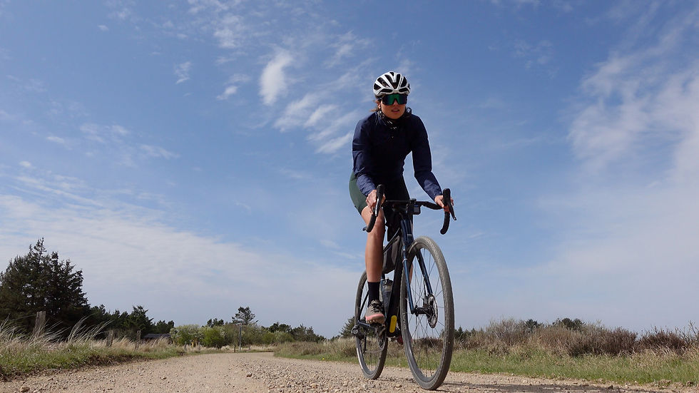 COLLABORATIONS | Buzzalong