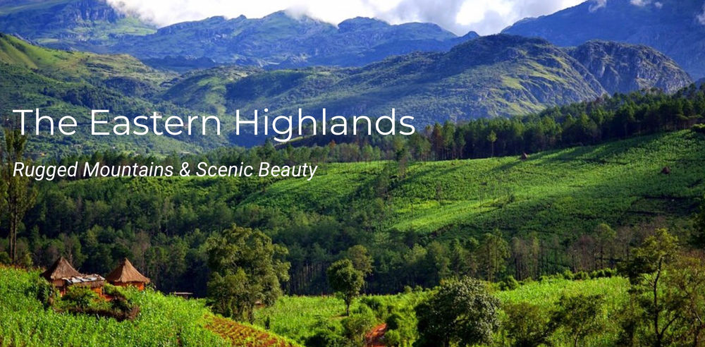 The Eastern Highlands with Travel Wild Africa