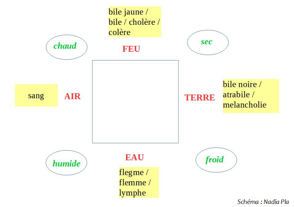 Les quatre humeurs, célébrées par les distiques de l’École de Salerne ...