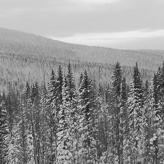 Our Work - RUN Studios