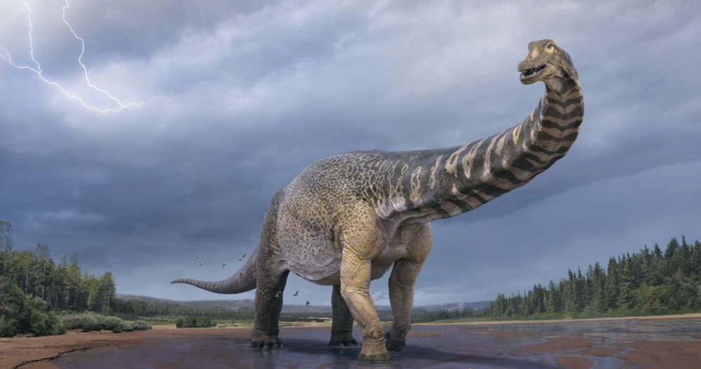 How did Dinosaurs Adapt to the Cold?
