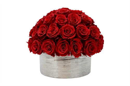 Super Deluxe Red Preserved Roses (Only Miami) | Lovely Roses