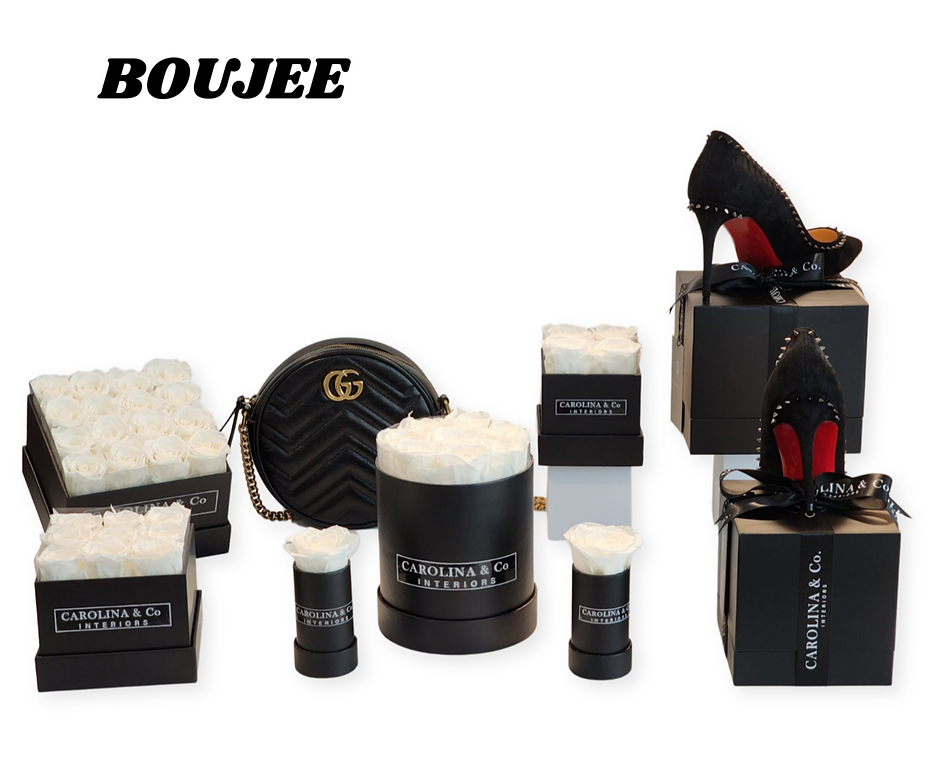 BOUJEE (8PC BLK BOX) | Carolina & Co.