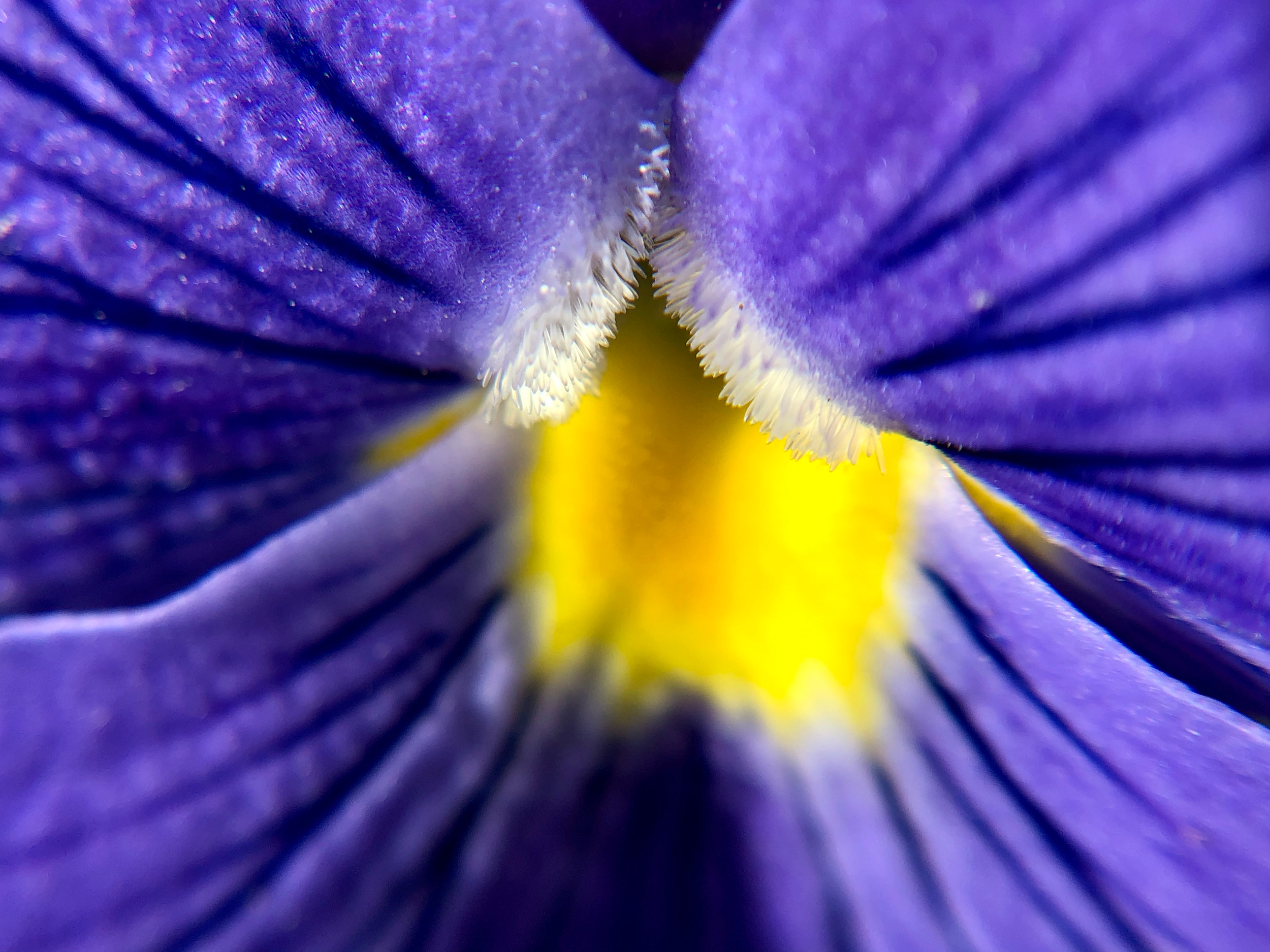 Kris Roberts Photography