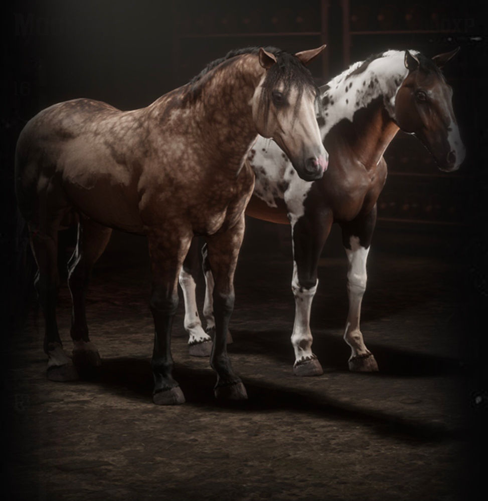 The Norfolk Roadster - Red Dead Horses.