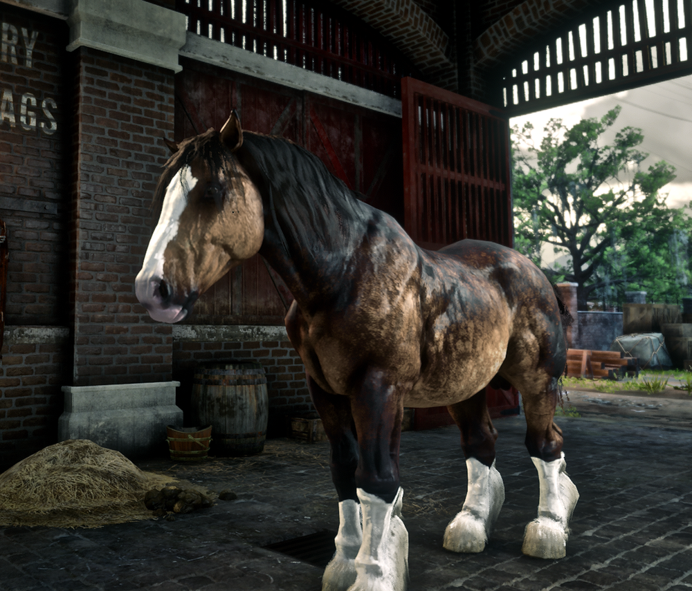 Bounty Hunter. The Basics