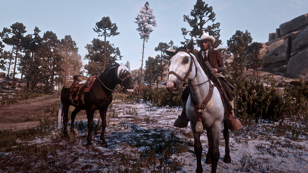 The KLADRUBER #StableSunday #RedDeadHorses