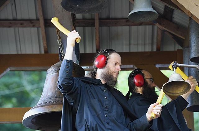 Media | Sarah Riccardi-Swartz