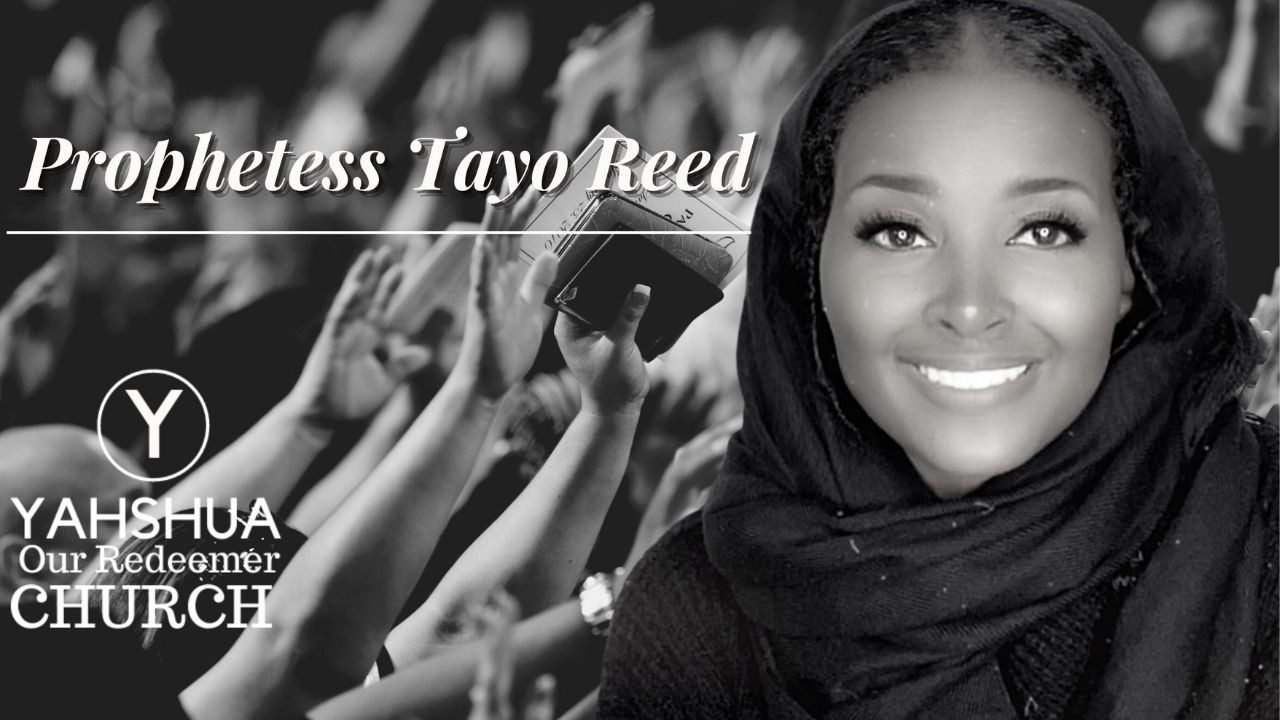 Tayo Reed Official Website