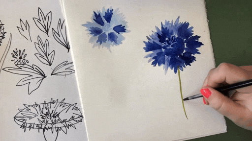Watercolor Painting Tutorial: How to Paint A Cornflower