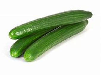 seedless cucumber