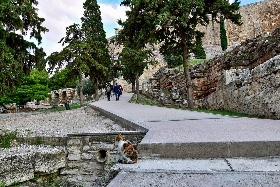Climbing the Acropolis of Athens: A Complete Travelogue and Guide