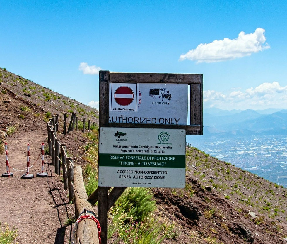 Conquering the Summit: A Guide to Hiking Mount Vesuvius Volcano in ...