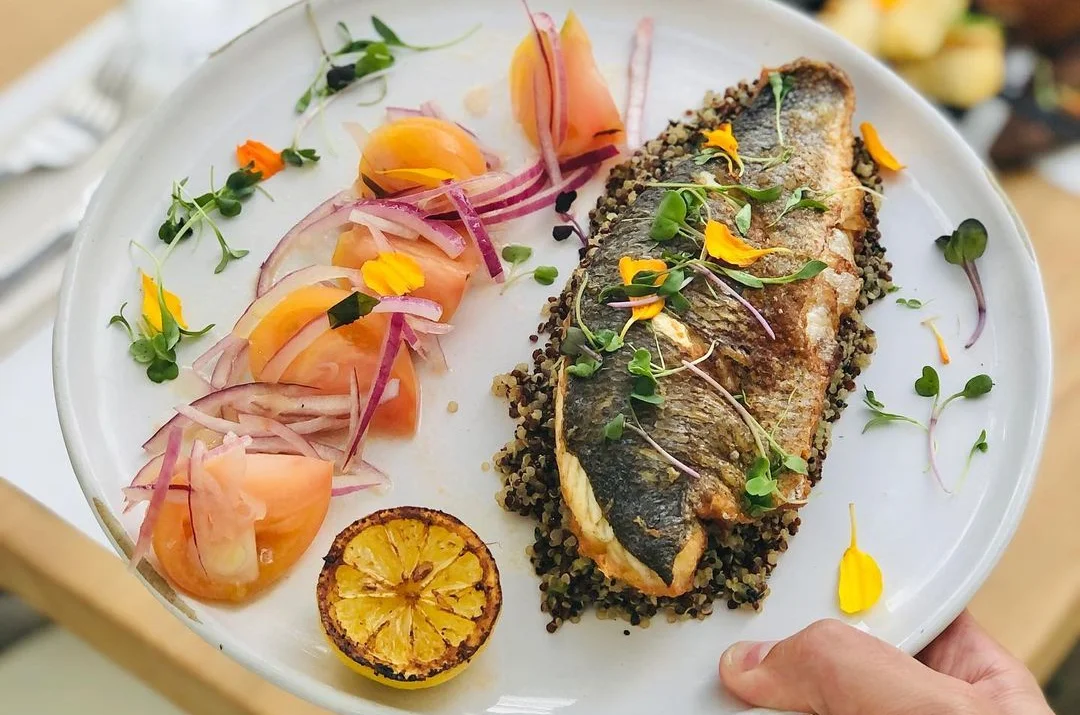 Restaurants & Fine Dining in Miami, FL | Miami Vibes Magazine