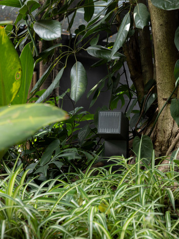 POLLY SPOT | Magna Áudio