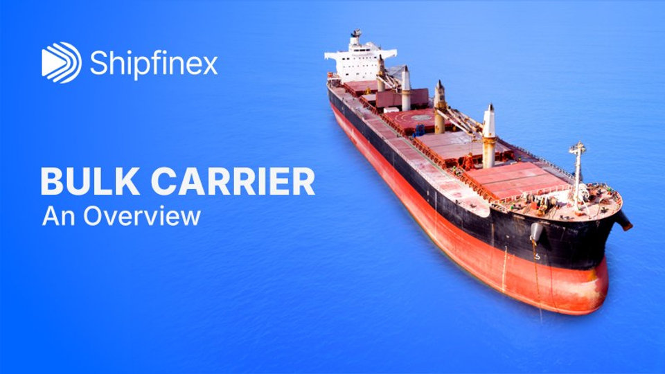 Bulk Carriers Explained: Types, Operations, and Future Trends in ...