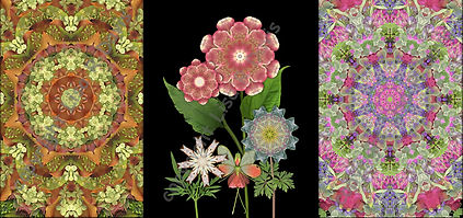 Wallflowers and Cards by Lisa Davis