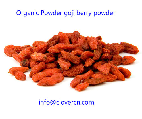 Organic Goji Berry Powder | clovercn