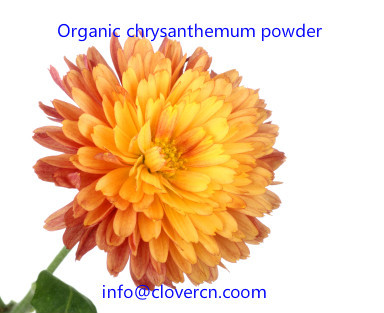 Chrysanthemum Powder | A Clover Nurtrition Inc
