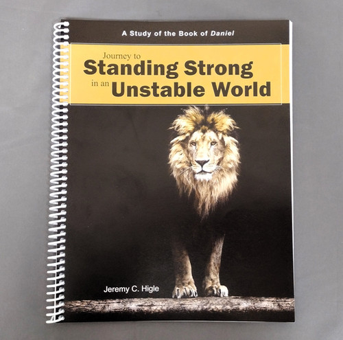 Journey to Standing Strong in an Unstable World (Daniel) | The Journey ...