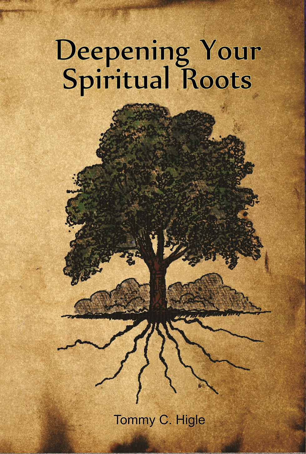 Deepening Your Spiritual Roots (New Adult Believer) | The Journey Series