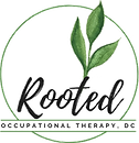 Nature Based Occupational Therapy for Teens | RootedinDC | Washington