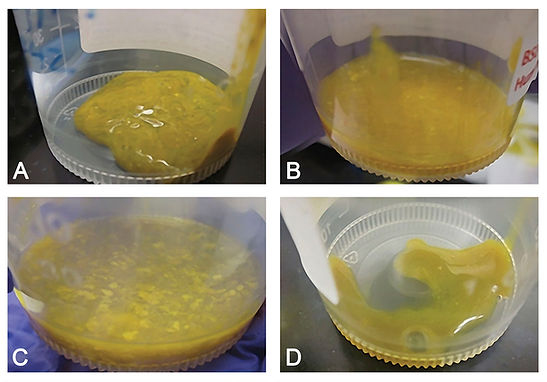 Diaper Decipher | Free to Feed