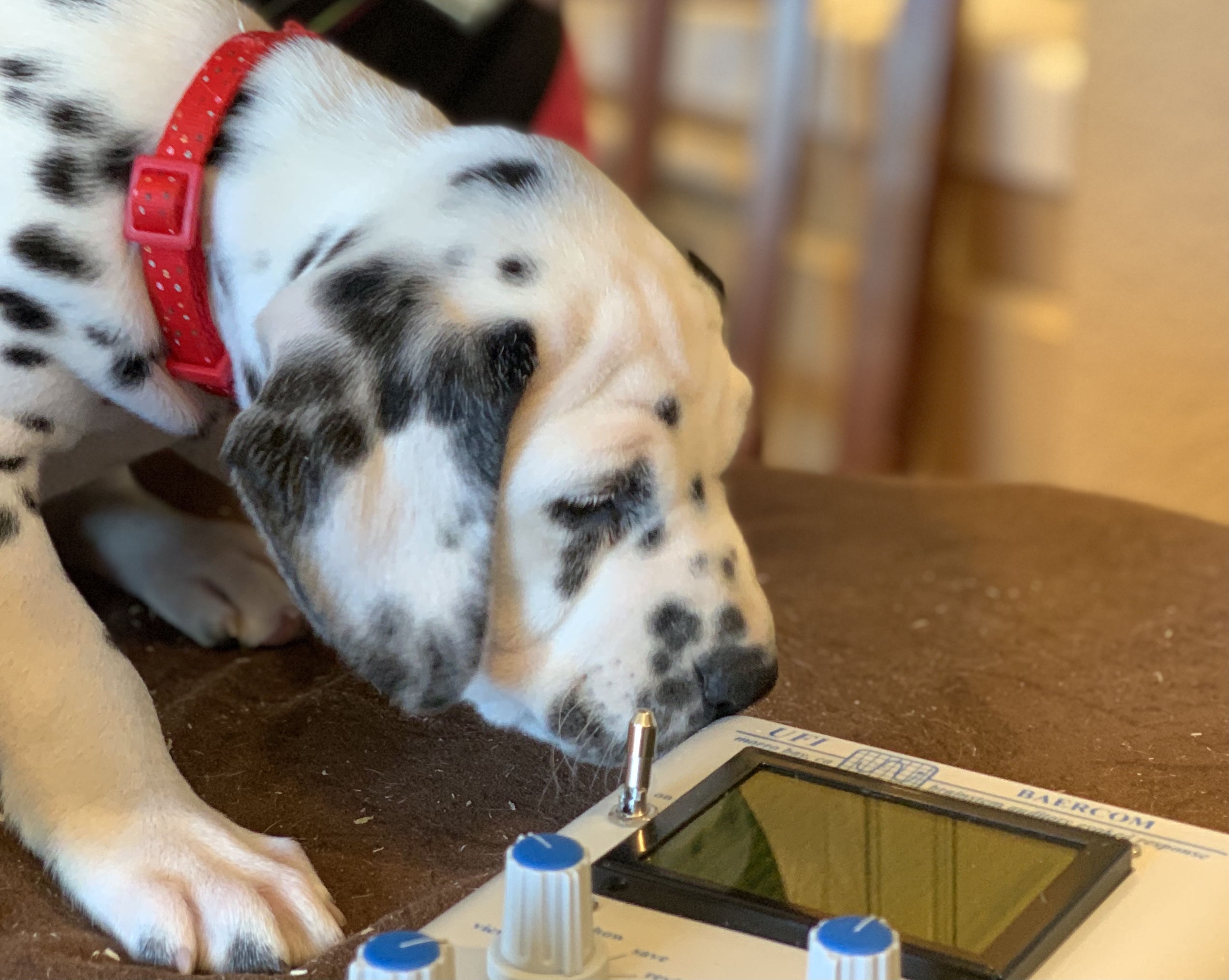 BAER Testing | TinRoofACD.com | United States