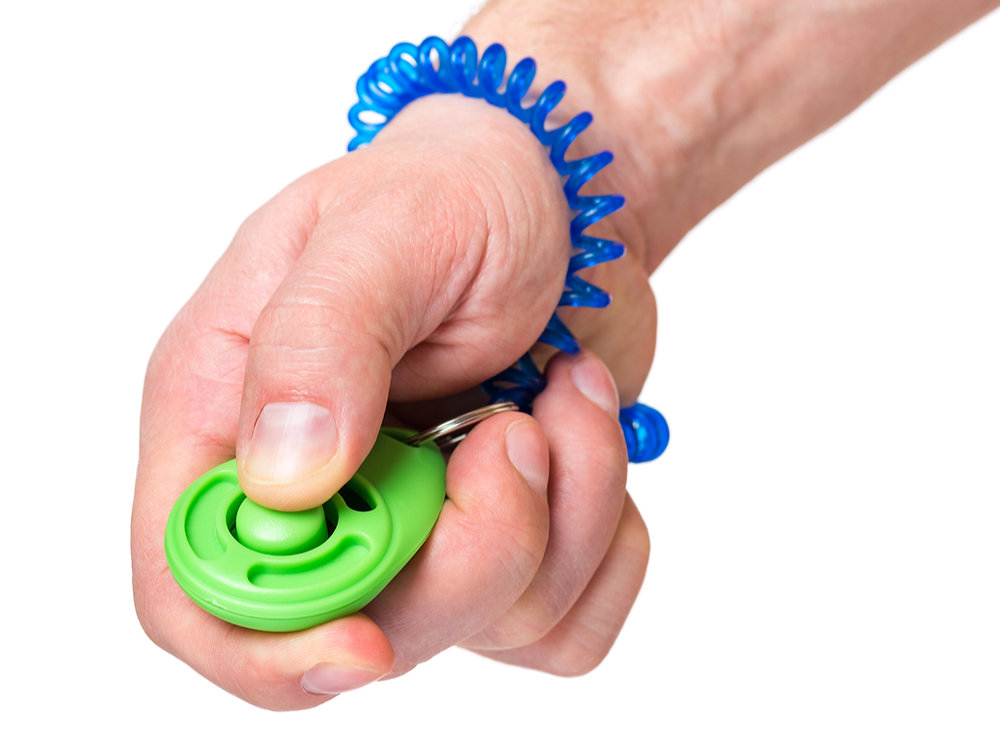 What is Clicker Training?