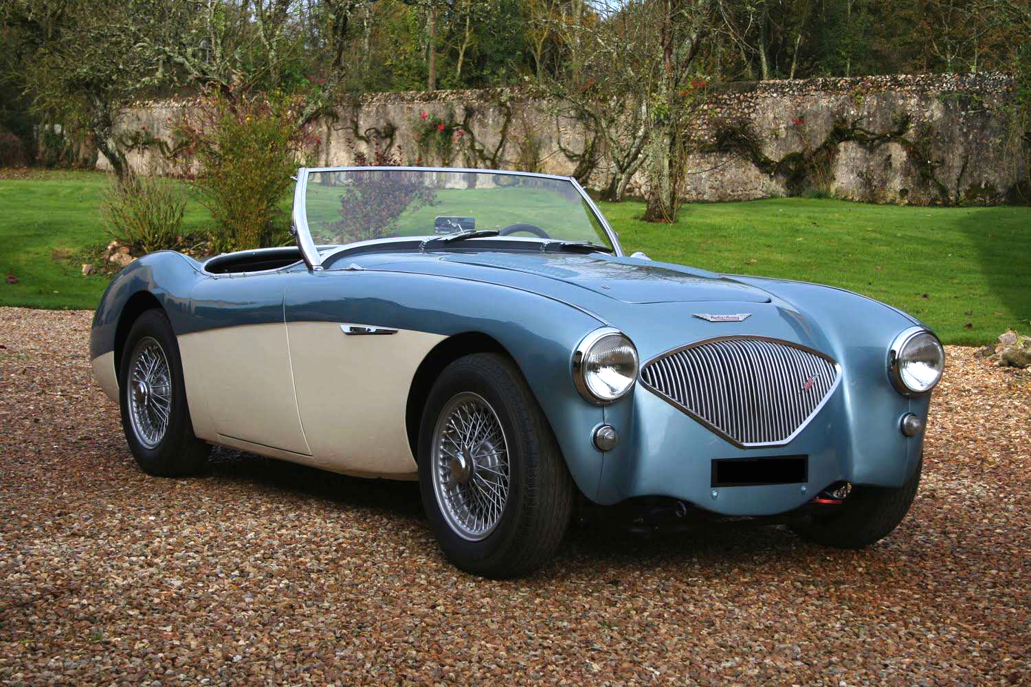 Austin Healey