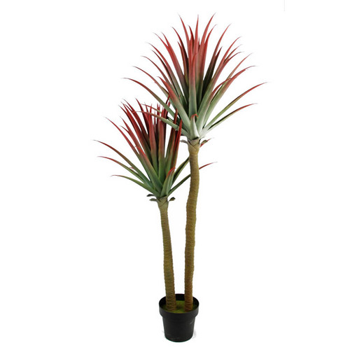 Yucca Plant | Form Furniture