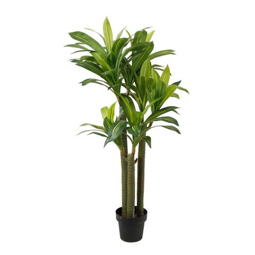 Brazil Iron plant | Form Furniture