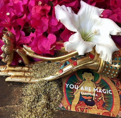 MAGIC MATÉ | Mysite